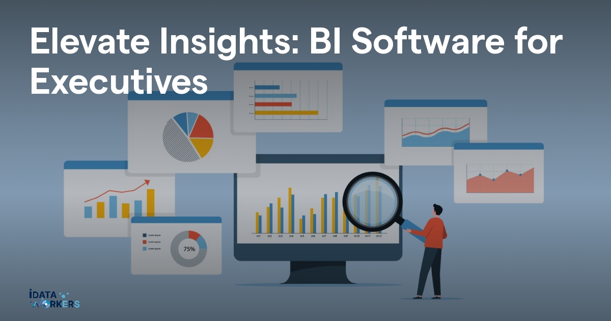 Elevate Insights: BI Software for Executives - iDataWorkers