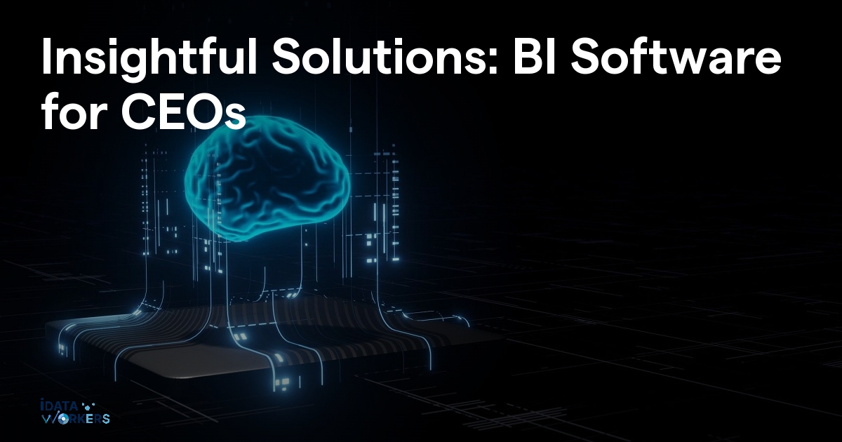 Insightful Solutions: BI Software for CEOs - iDataWorkers